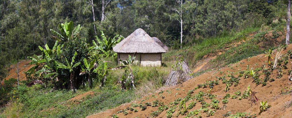 Shining a light on solar energy loans in rural Papua New Guinea - Telepin